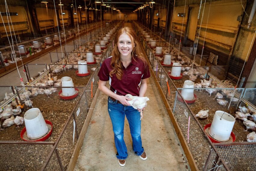Texas A&M Academic Departments - Texas A&M AgriLife Research