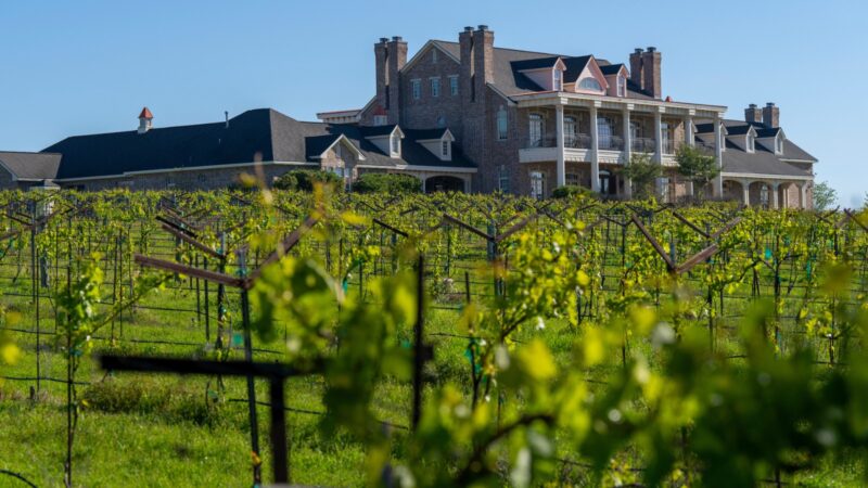 Thomas Ranch - Texas A&M Agrilife Research