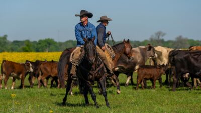Thomas Ranch - Texas A&M Agrilife Research